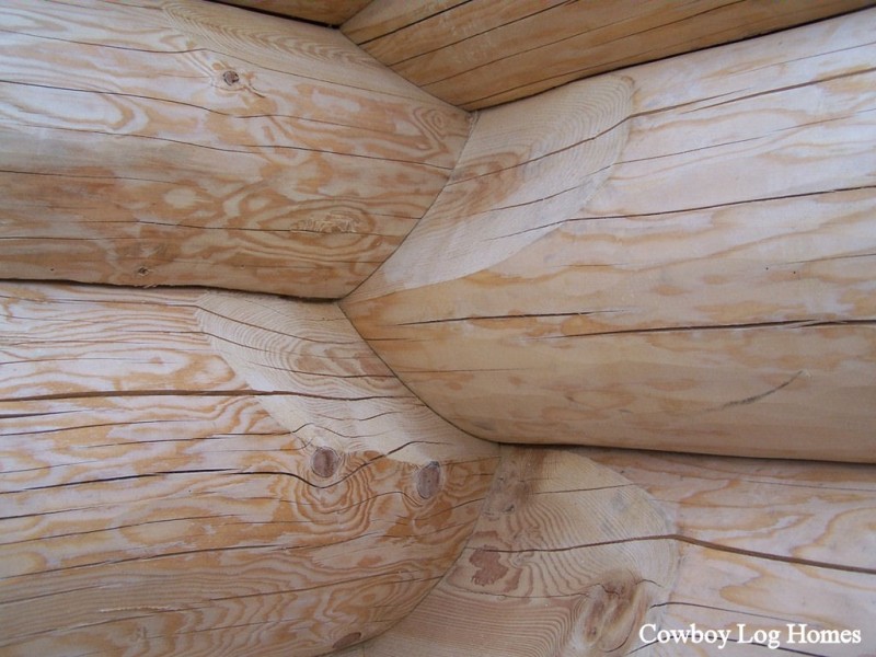 Douglas Fir Diamond Saddle Notch Corner | Cowboy Log Homes