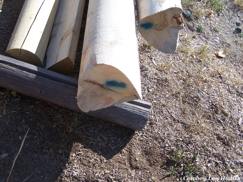Log Support Post with TPI Grade Stamping | Cowboy Log Homes